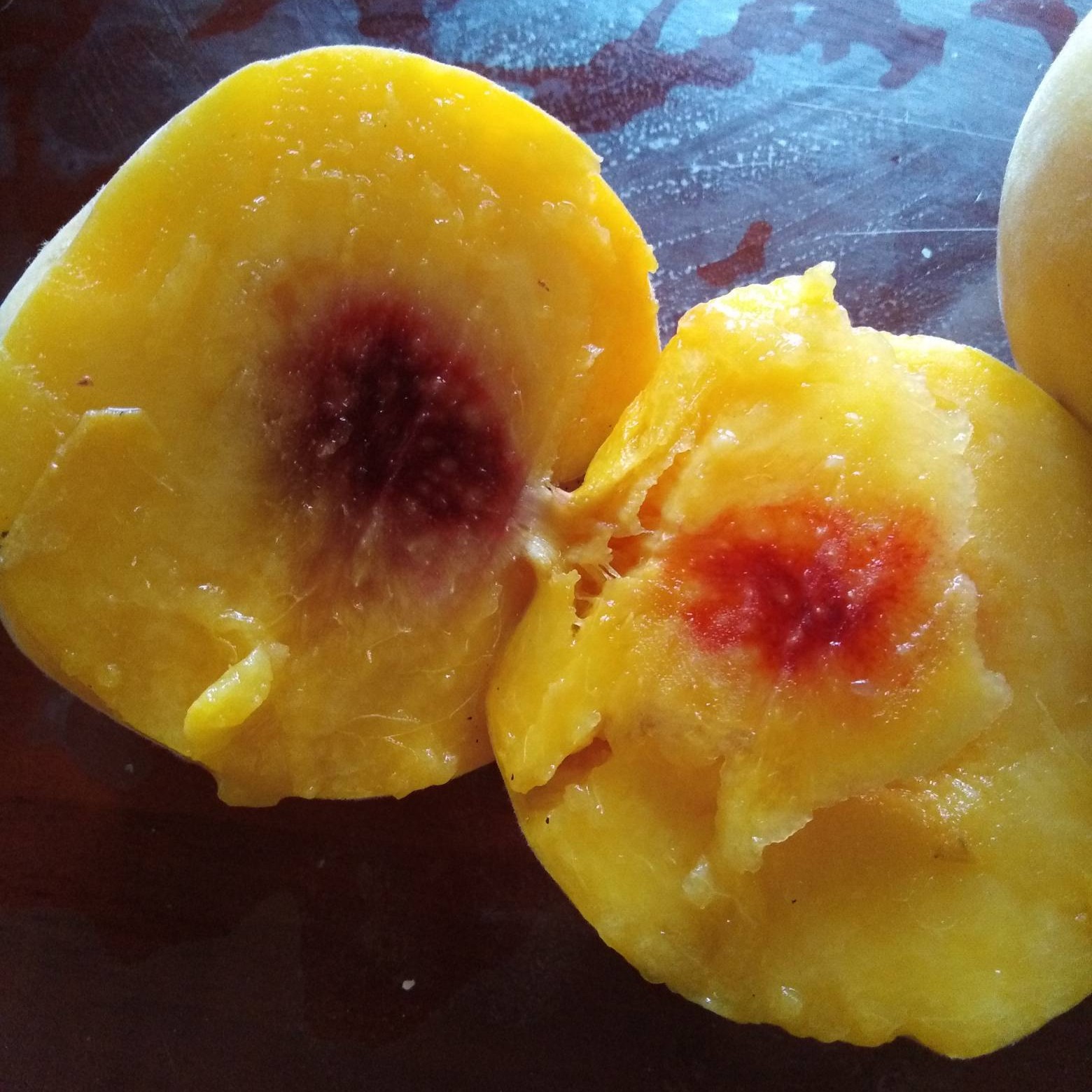 2 in 1 Peach Tree (Jinxiu and Huang Guifei Yellow Peach) - Exotic Tree ...